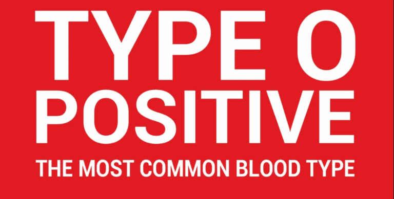Blood Type O Food List in PDF (And Foods to Avoid)