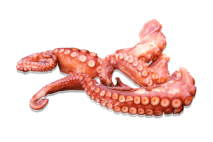 Printable High Protein Foods List (22 Foods in PDF)