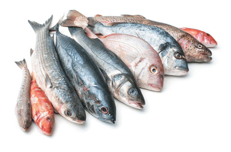 Printable High Protein Foods List (22 Foods in PDF)