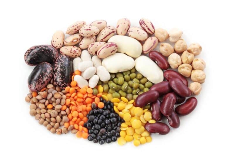 Slow Carb Diet Food List | 142 Slow Carb Foods in PDF
