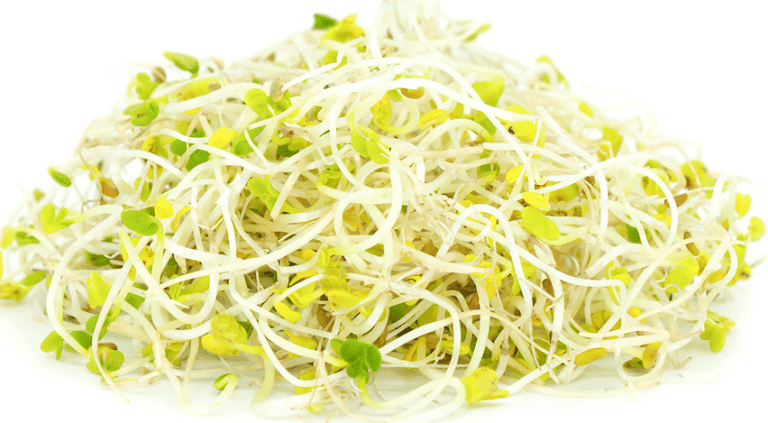 11 Liver Detox Foods and Foods Avoid During Liver Cleanse