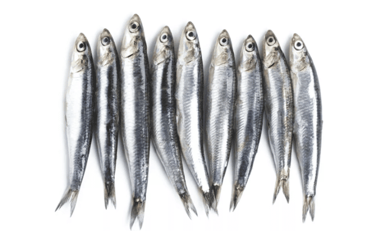 Omega 3 Foods List | 15 Omega 3 Foods - Diets Meal Plan