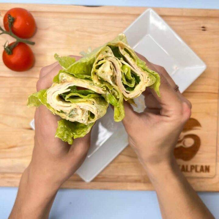 Low Carb Turkey Wrap Without Tortilla - Diets Meal Plan