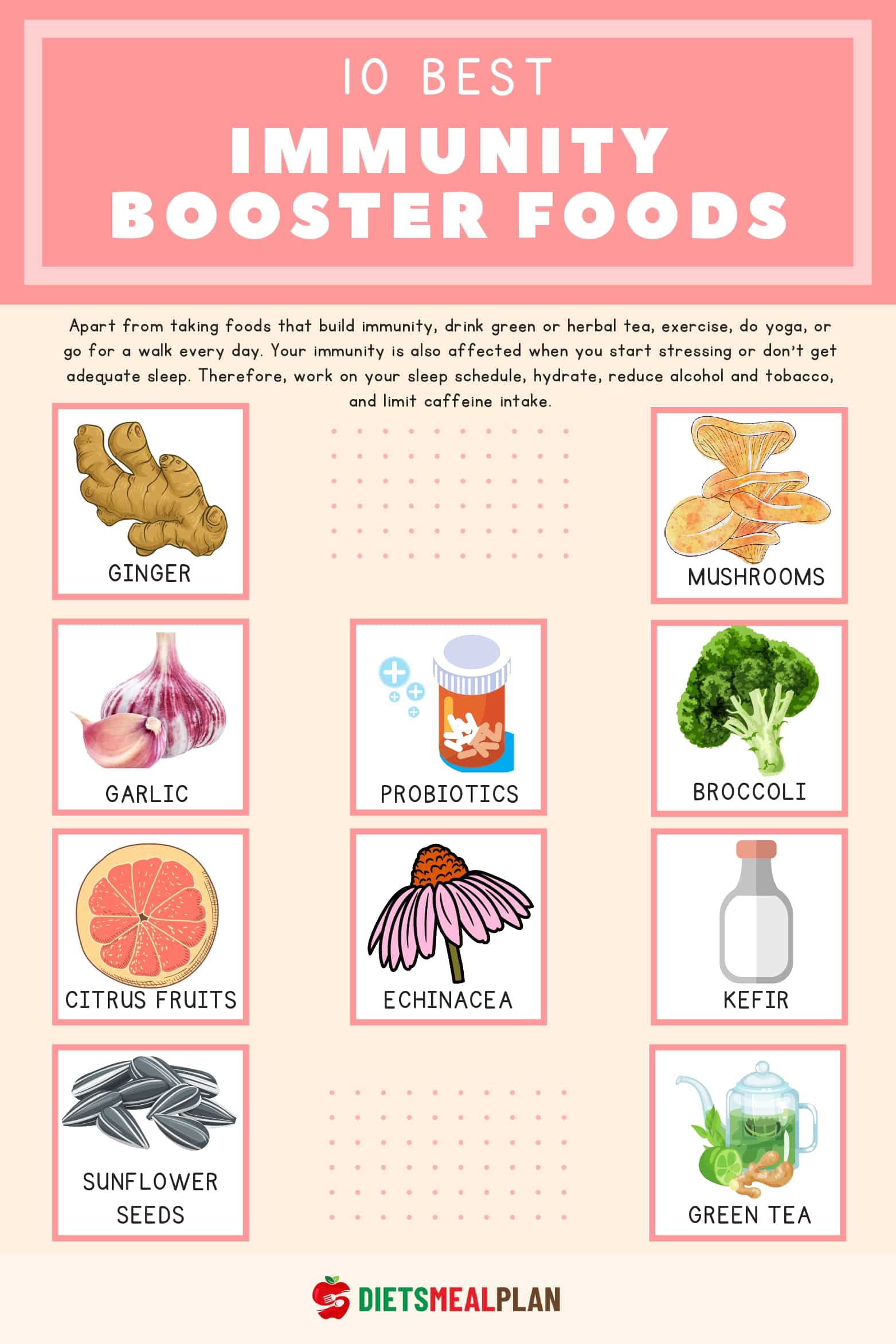 10 Best Immunity Booster Foods - Diets Meal Plan