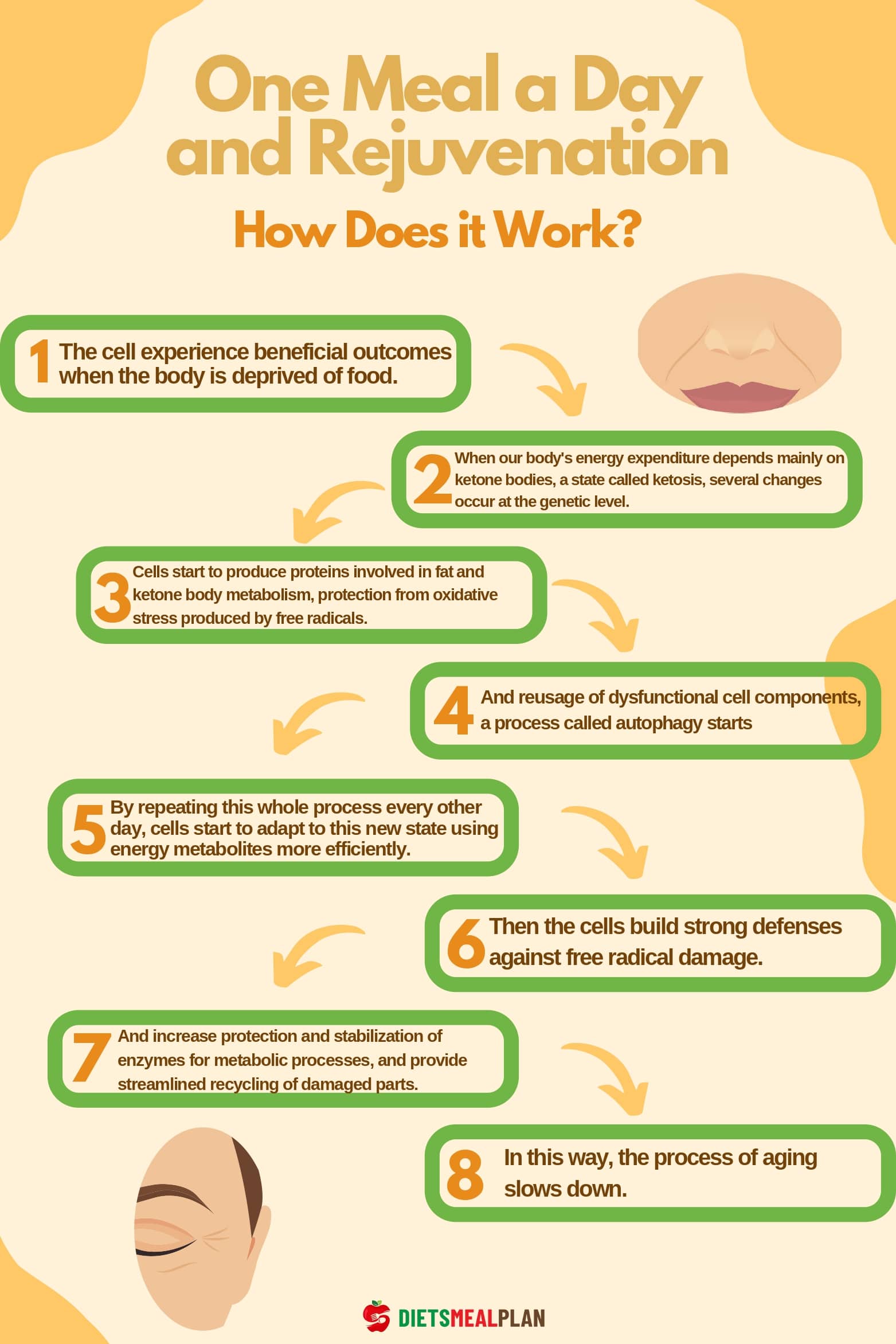 One Meal a Day and Rejuvenation - Diets Meal Plan