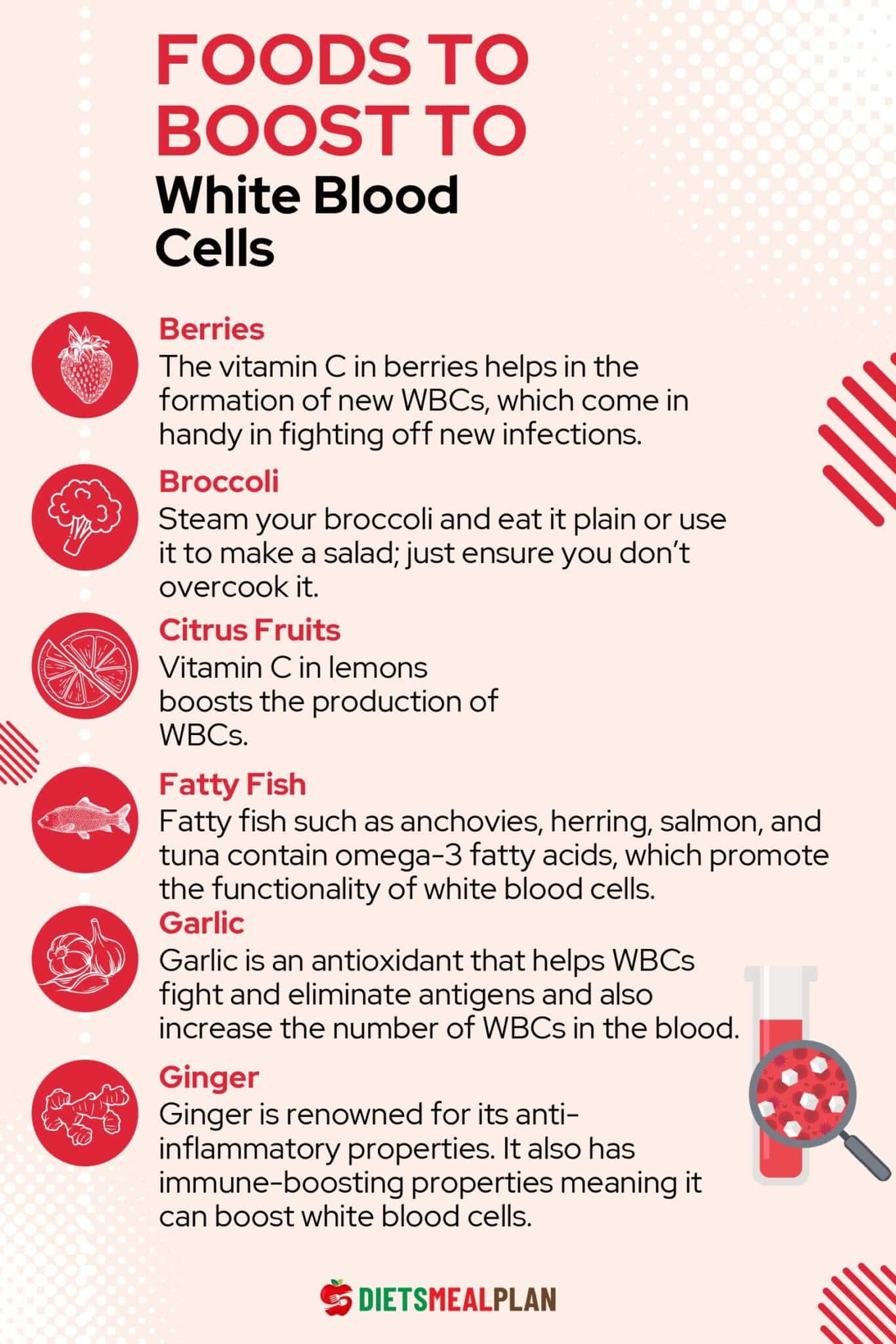 12 Foods to Boost White Blood Cells - Diets Meal Plan