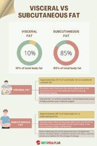 Visceral vs. Subcutaneous Fat - Diets Meal Plan